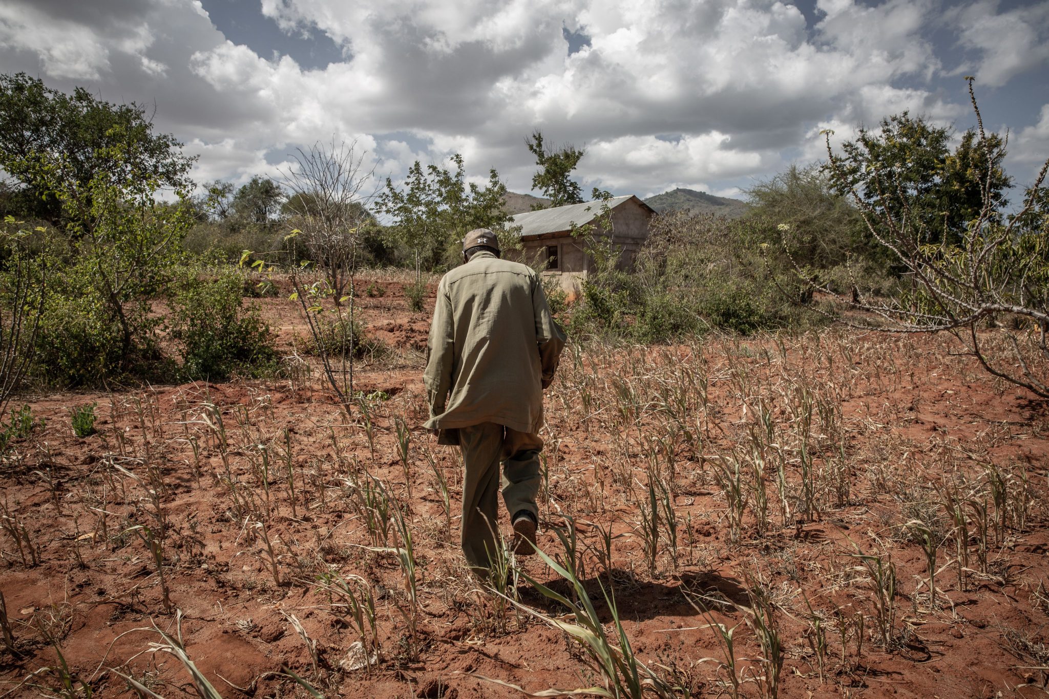 Drought Crisis in Kenya’s ASAL Regions Pushes Millions Toward Food ...